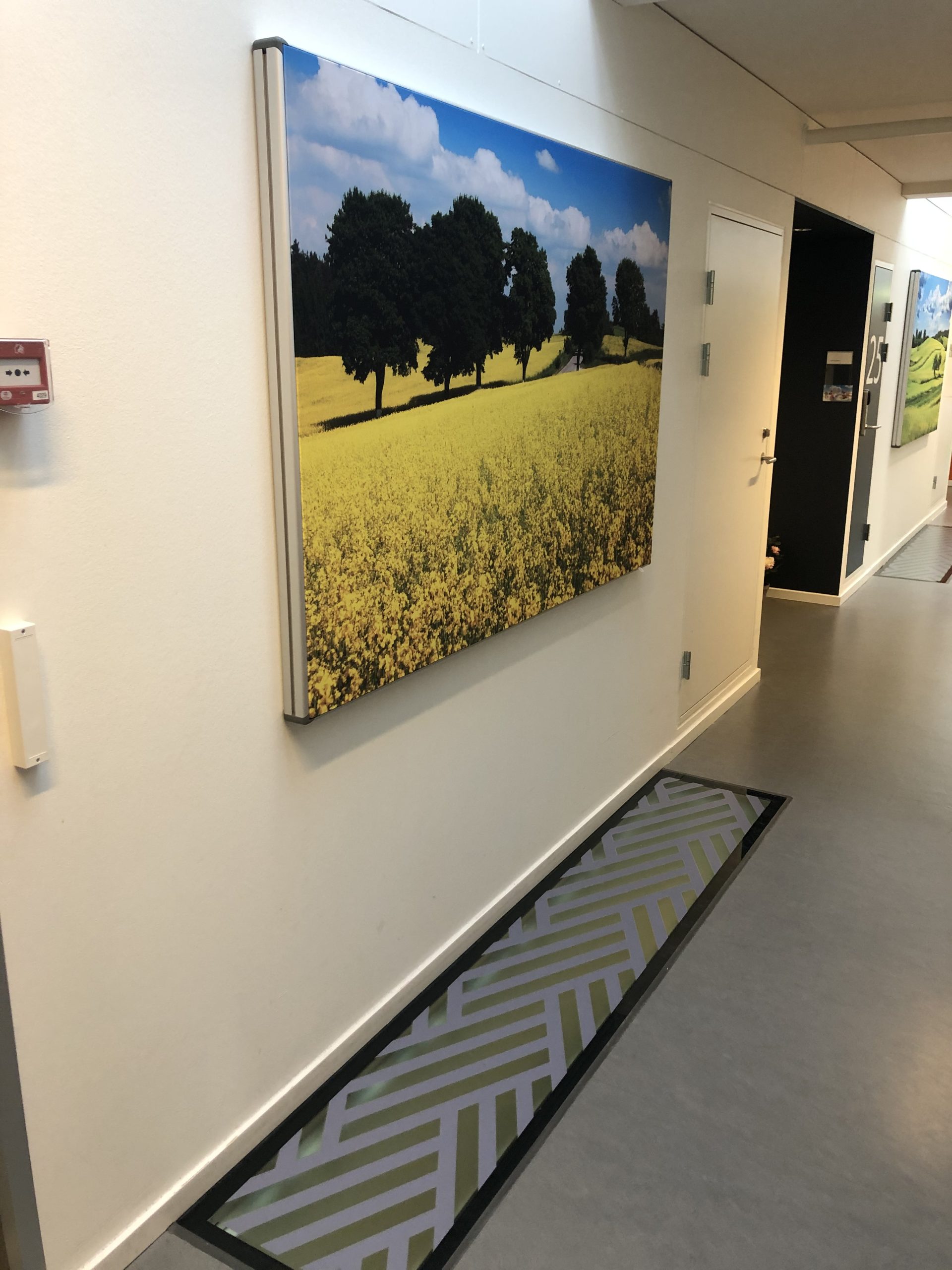 Nudging – ”hjælper uden ord” - Dignacare