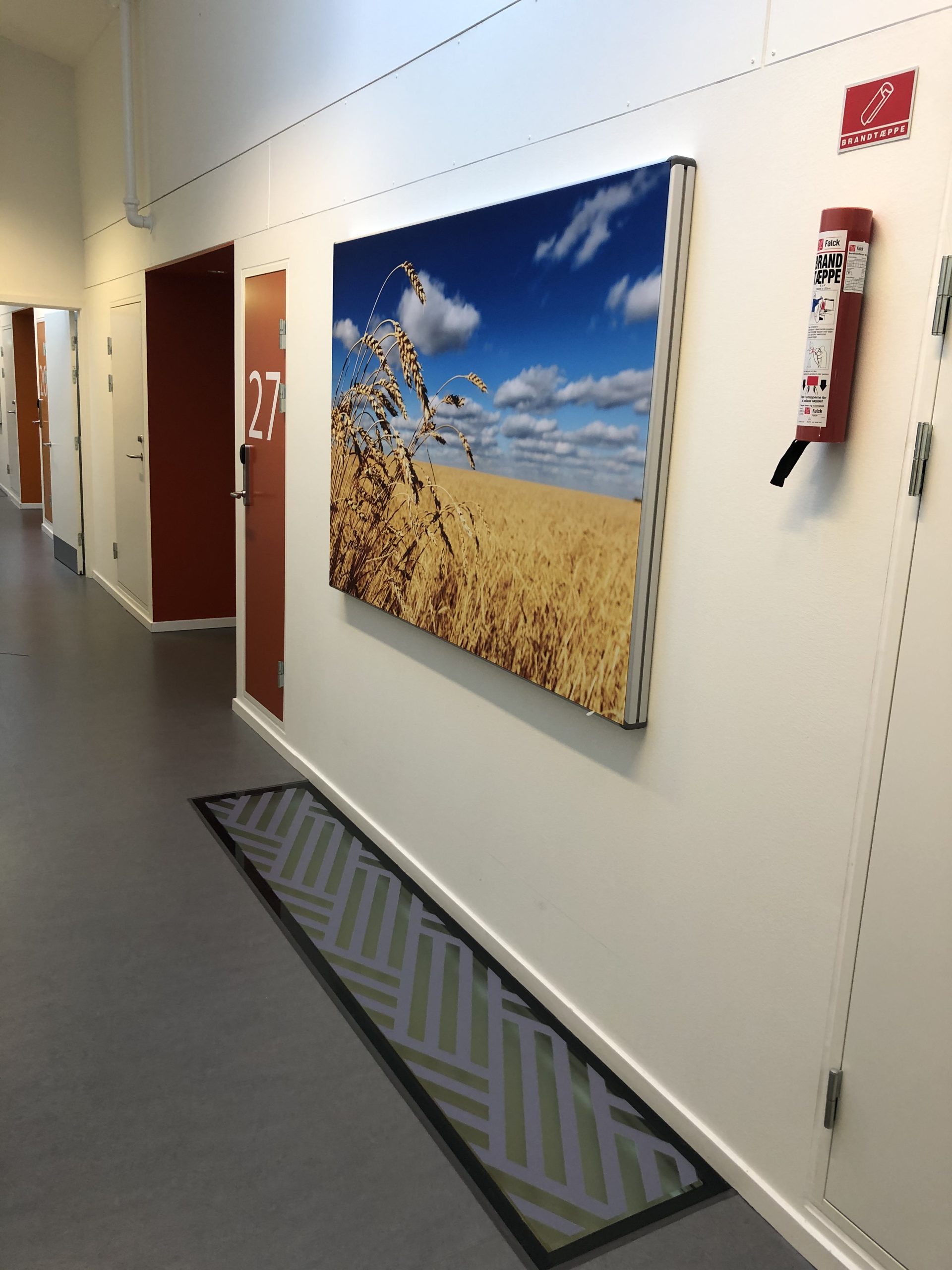 Nudging – ”hjælper uden ord” - Dignacare